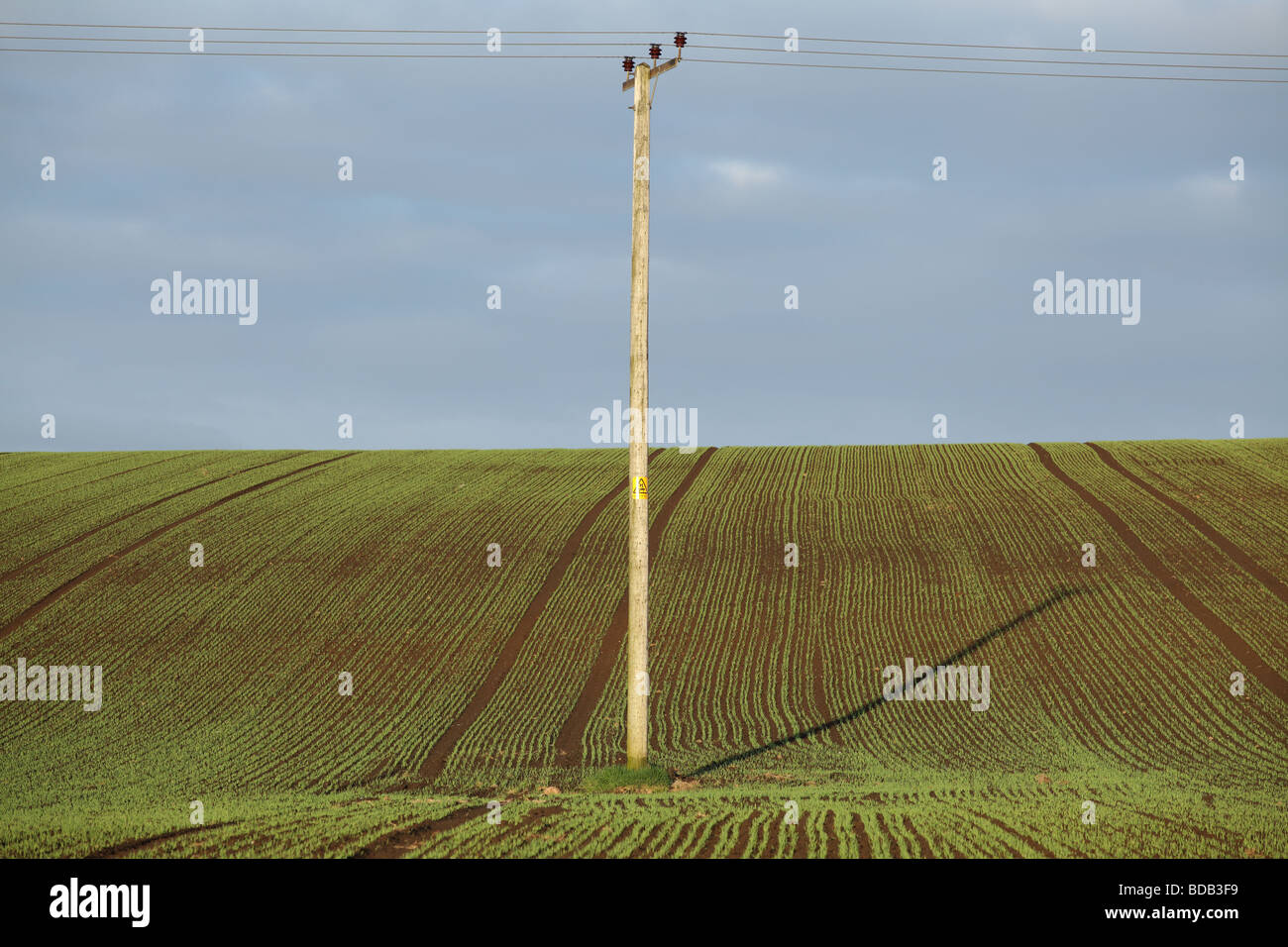 Uk electricity pole hi-res stock photography and images - Alamy
