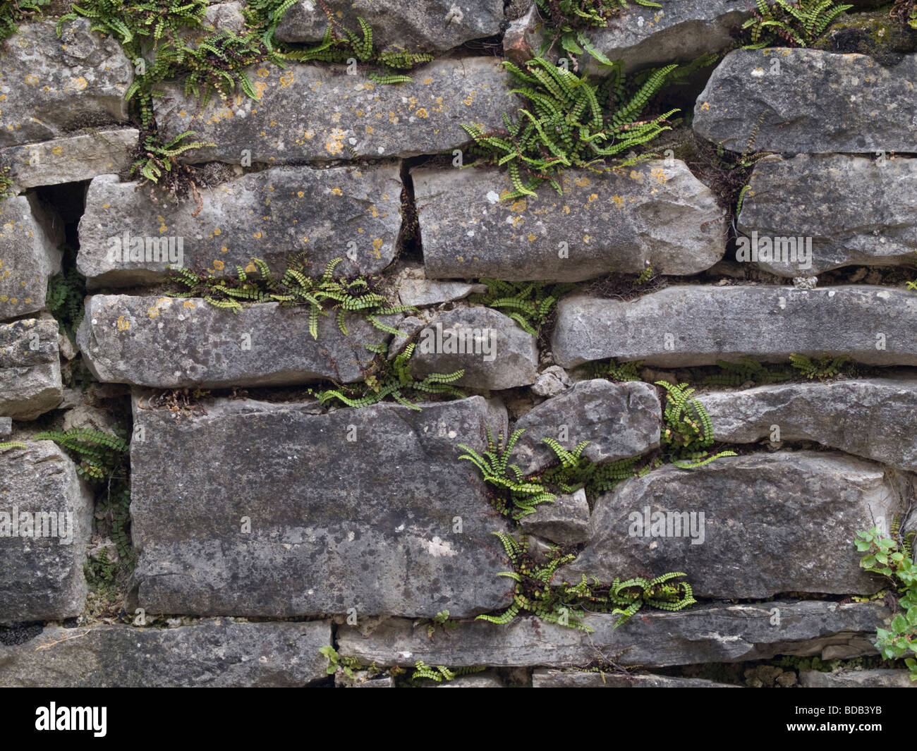A detail of a stone wall from the smallest town in the world: Hum ...