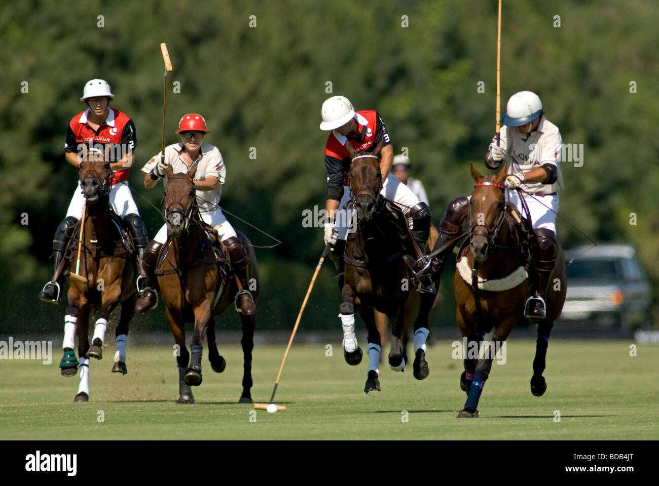 Polo At Sotogrande High Resolution Stock Photography and Images - Alamy