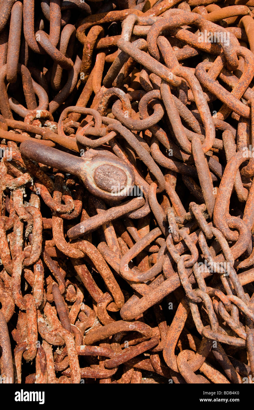 Russet_brown hi-res stock photography and images - Alamy