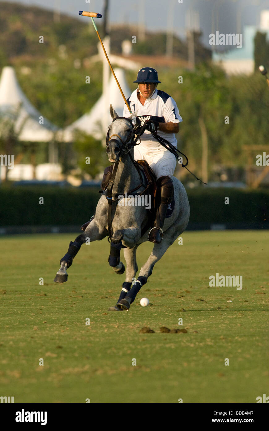 Polo player hi-res stock photography and images - Alamy