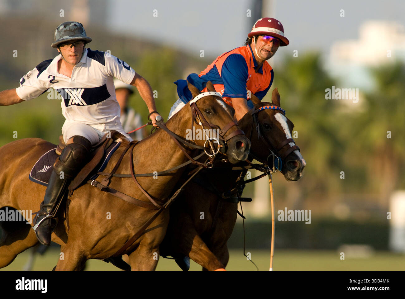 2 polo players in action Stock Photo - Alamy