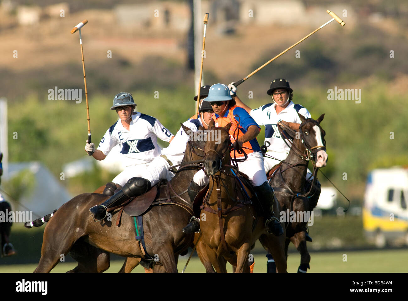 Players polo ponies hi-res stock photography and images - Alamy