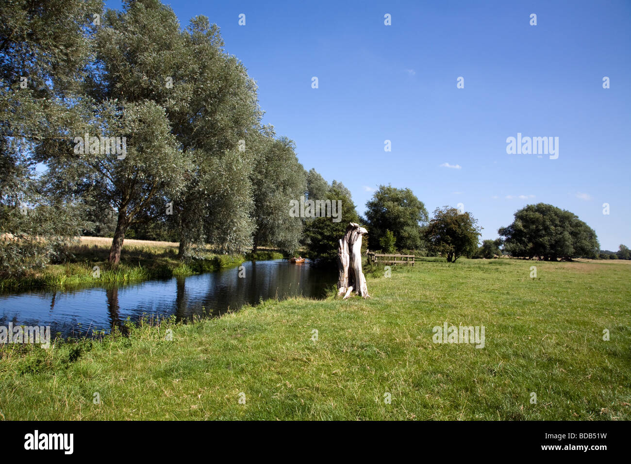 the river Stour with an attractive dead tree stump Between The historic ...
