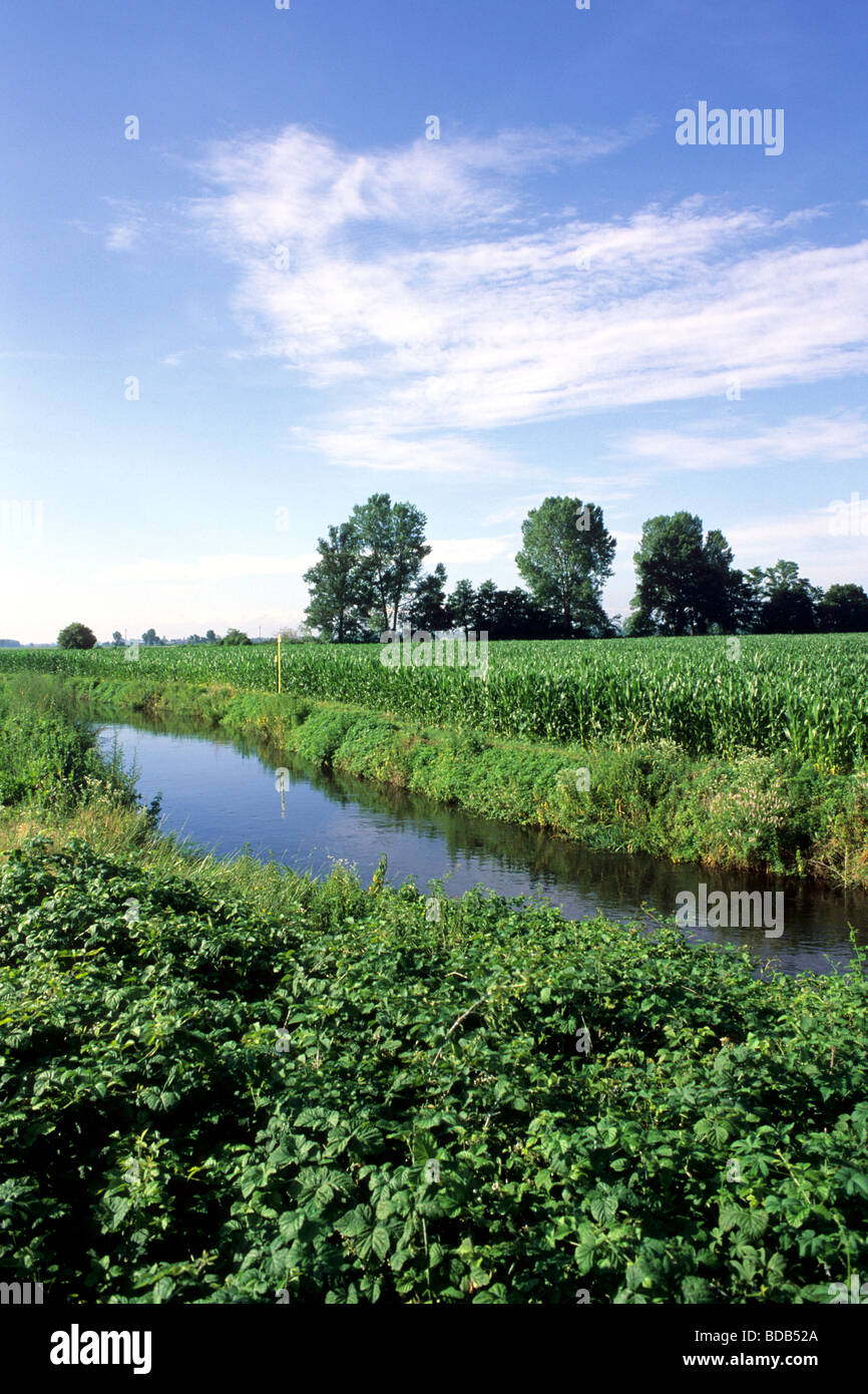 Rozzano hi-res stock photography and images - Alamy