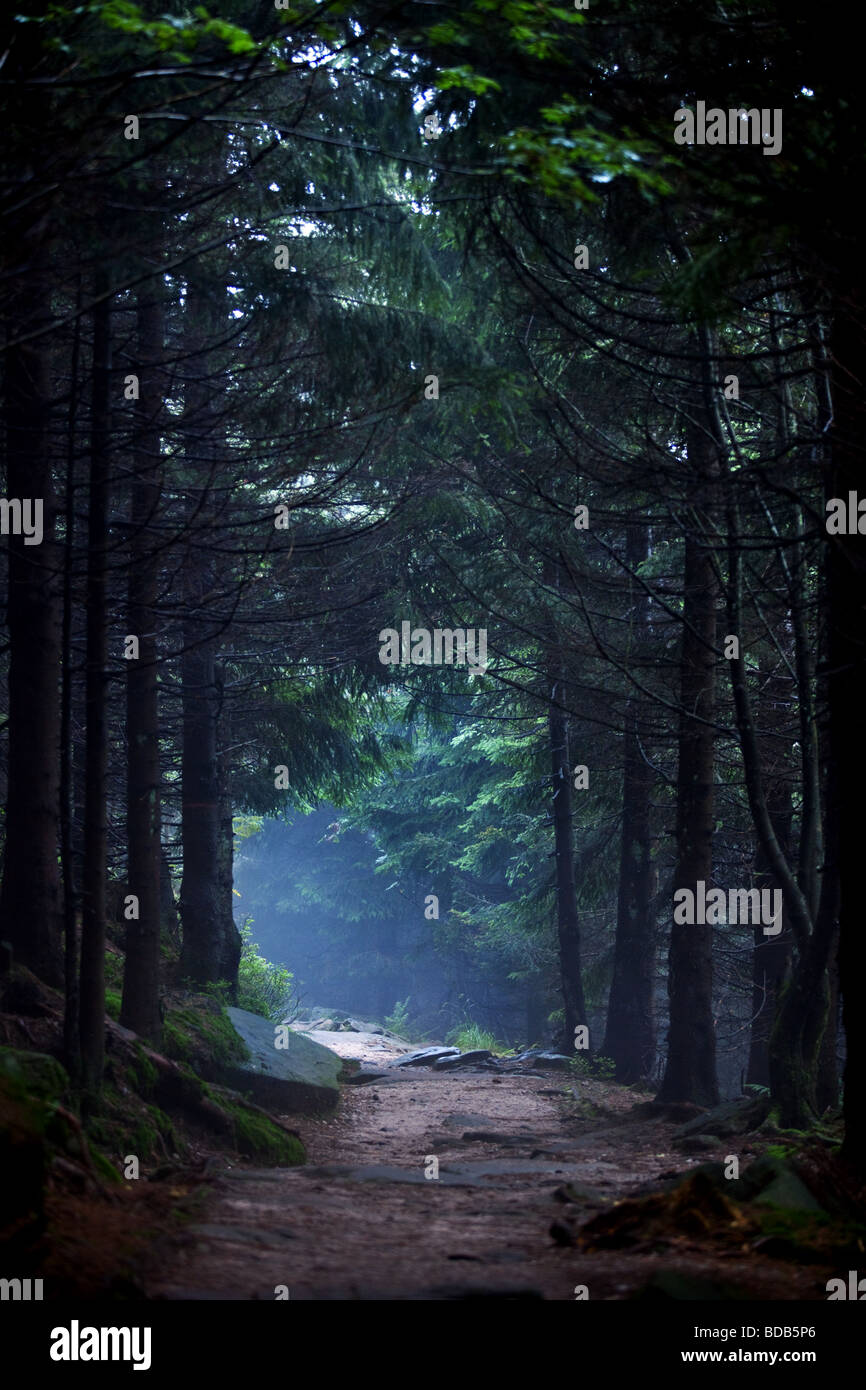 Schwarzwald hi-res stock photography and images - Alamy