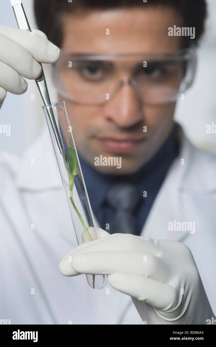 Scientist examining a plant in test tube Stock Photo - Alamy
