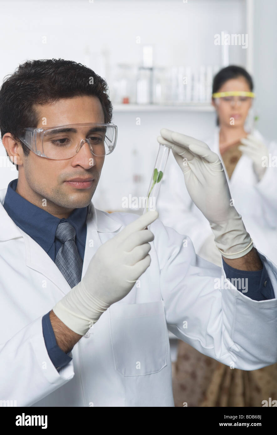 Lab scientist looking plants on hi-res stock photography and images - Alamy