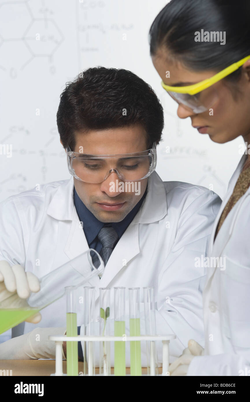 Scientists experimenting in a laboratory Stock Photo - Alamy Scientists experimenting in a laboratory Stock Photo - Alamy