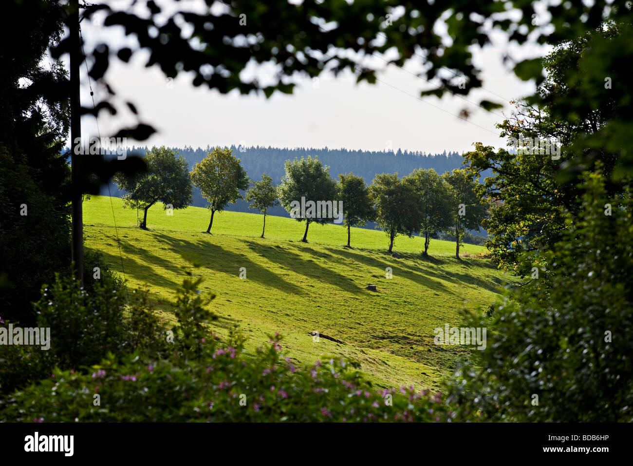 Landscape of Breg river valley- source of Danube Delta, Furtwangen ...