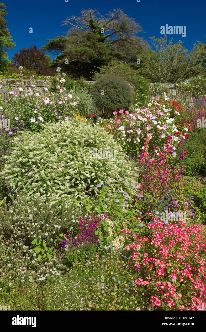 Formal flower gardens at La Seigneurie, Island of Sark, Channel Islands ...