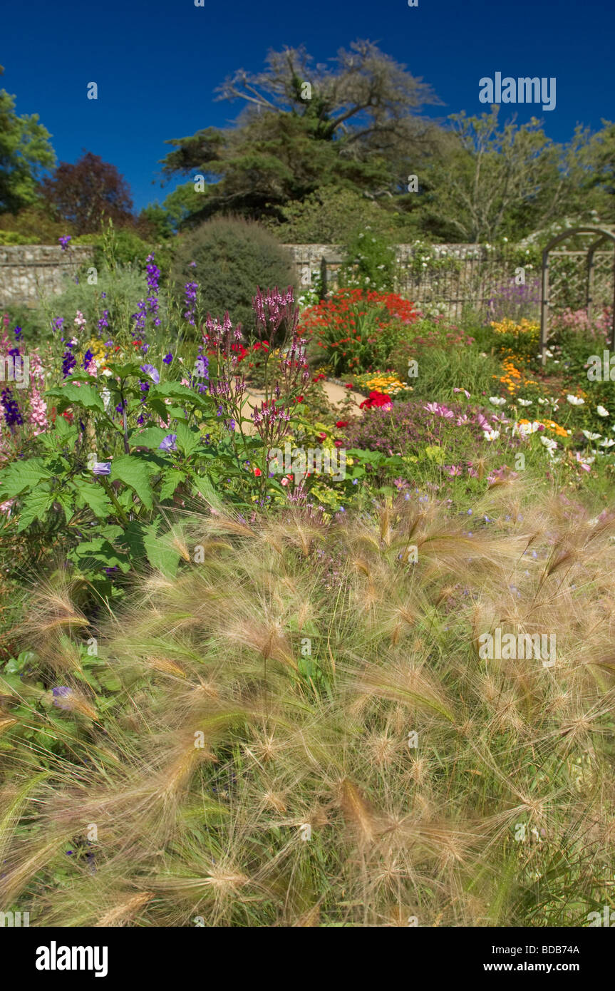Plants in la seigneurie gardens hi-res stock photography and images - Alamy