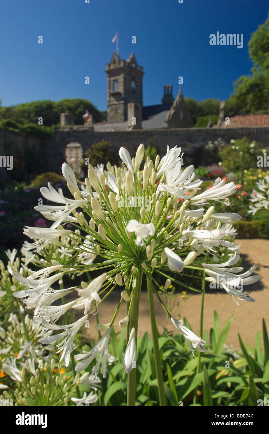 Formal flower gardens at La Seigneurie, Island of Sark, Channel Islands ...