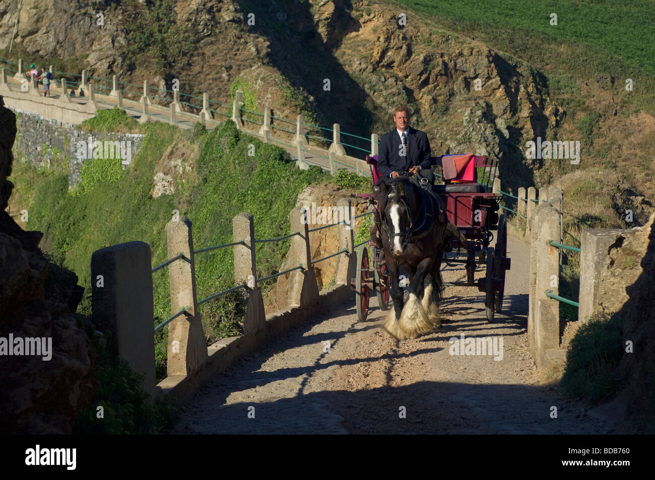 Horse carriage crossing the narrow isthmus of La Coupée Island of Sark ...