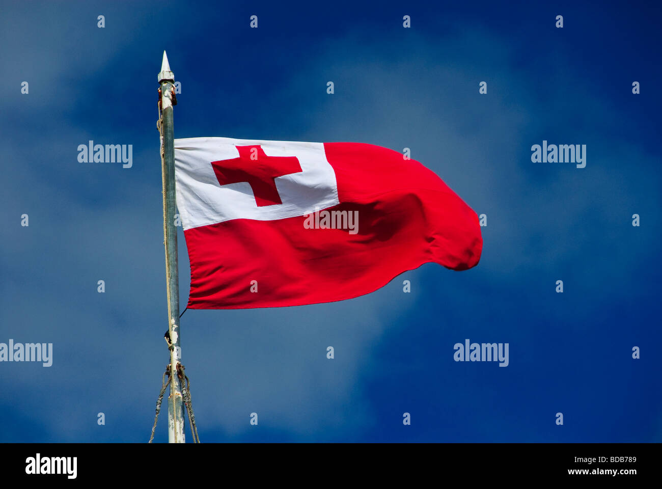 Tongan High Resolution Stock Photography and Images - Alamy