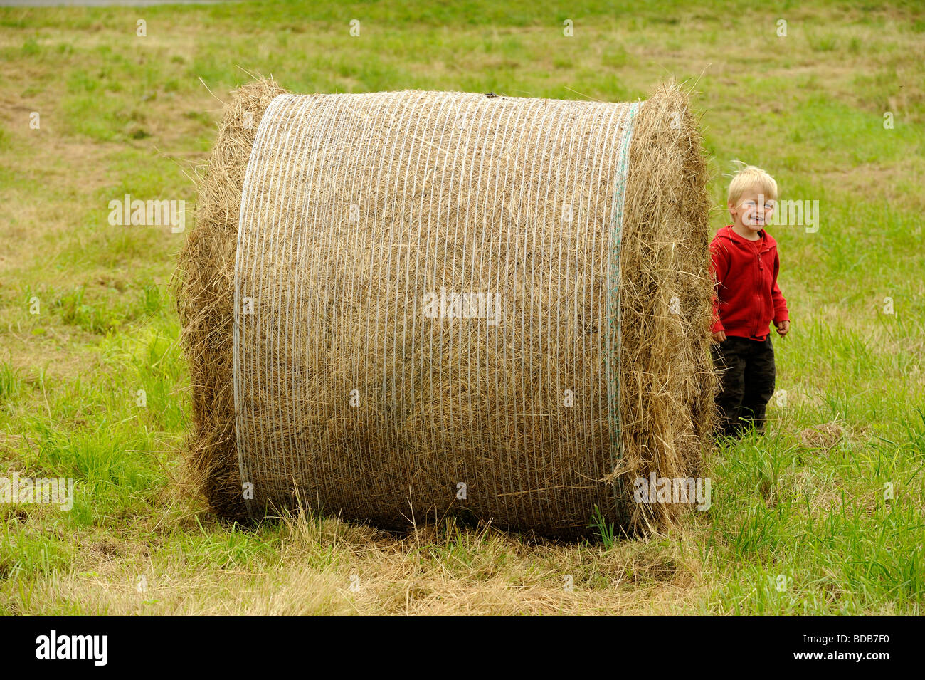 2 3 years old child blond boy playing on field with hay bale Stock ...