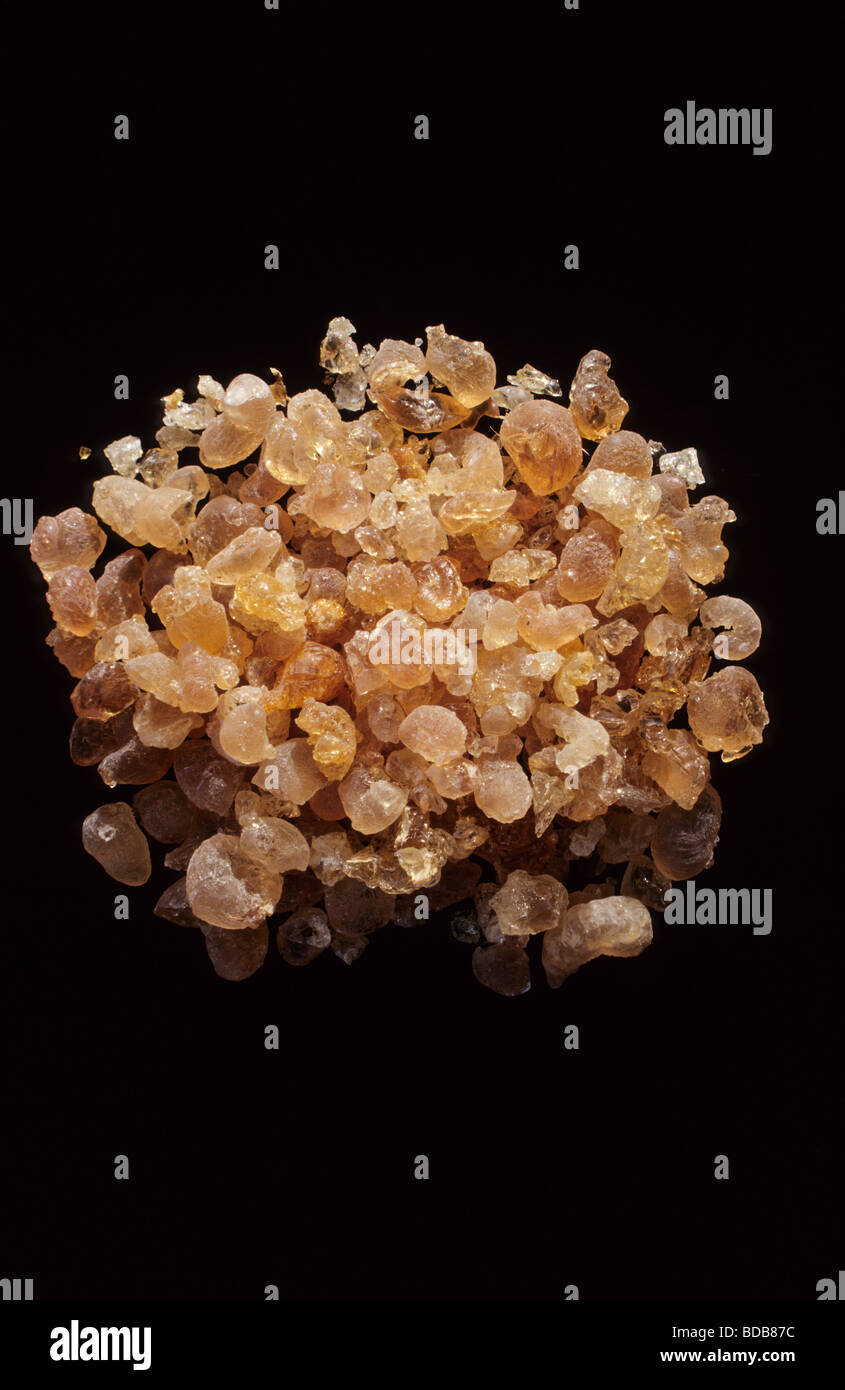 Gum arabic hi-res stock photography and images - Alamy