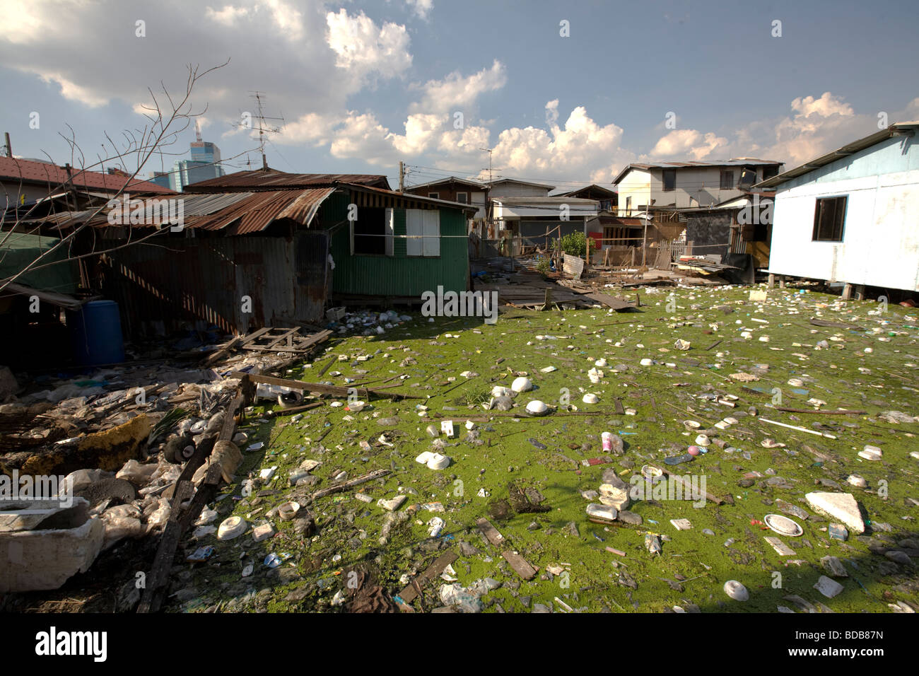 Dirty pond at Klongtoei community,Bangkok,Thailand Stock Photo - Alamy