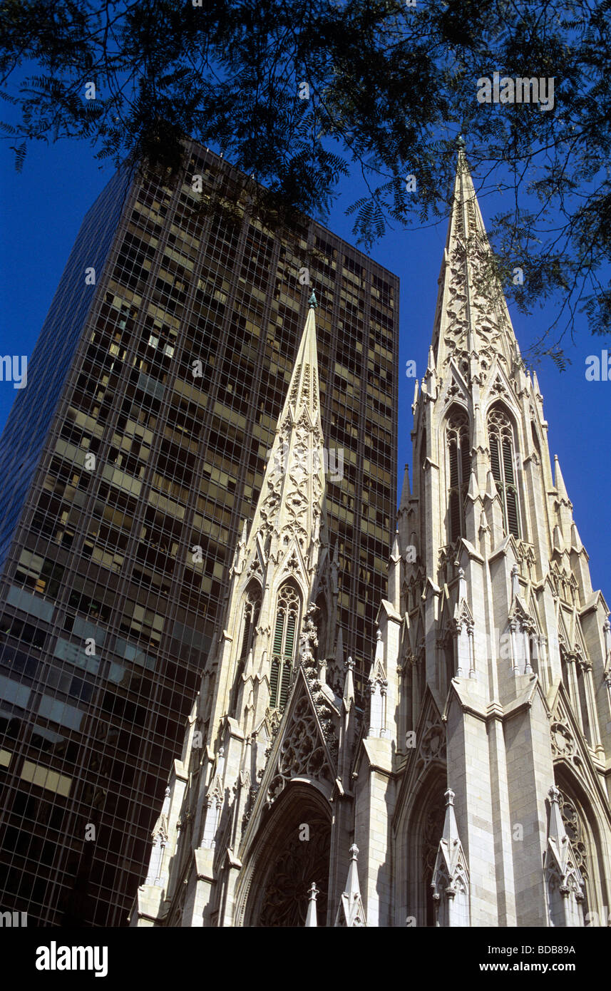 St Patrick's Cathedral Stock Photo - Alamy