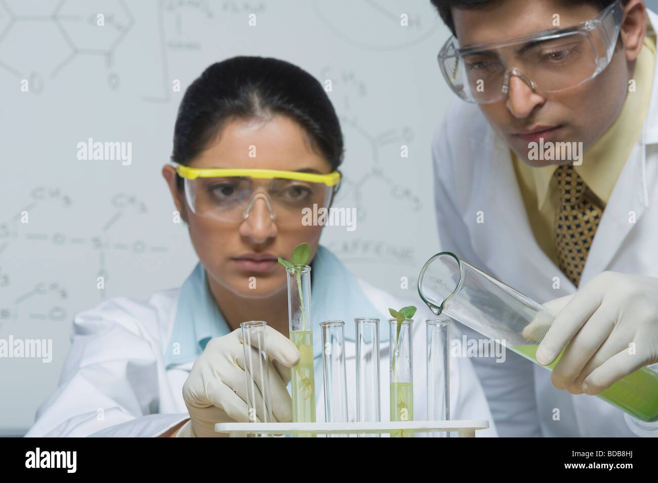 Scientists experimenting in a laboratory Stock Photo - Alamy Scientists experimenting in a laboratory Stock Photo - Alamy