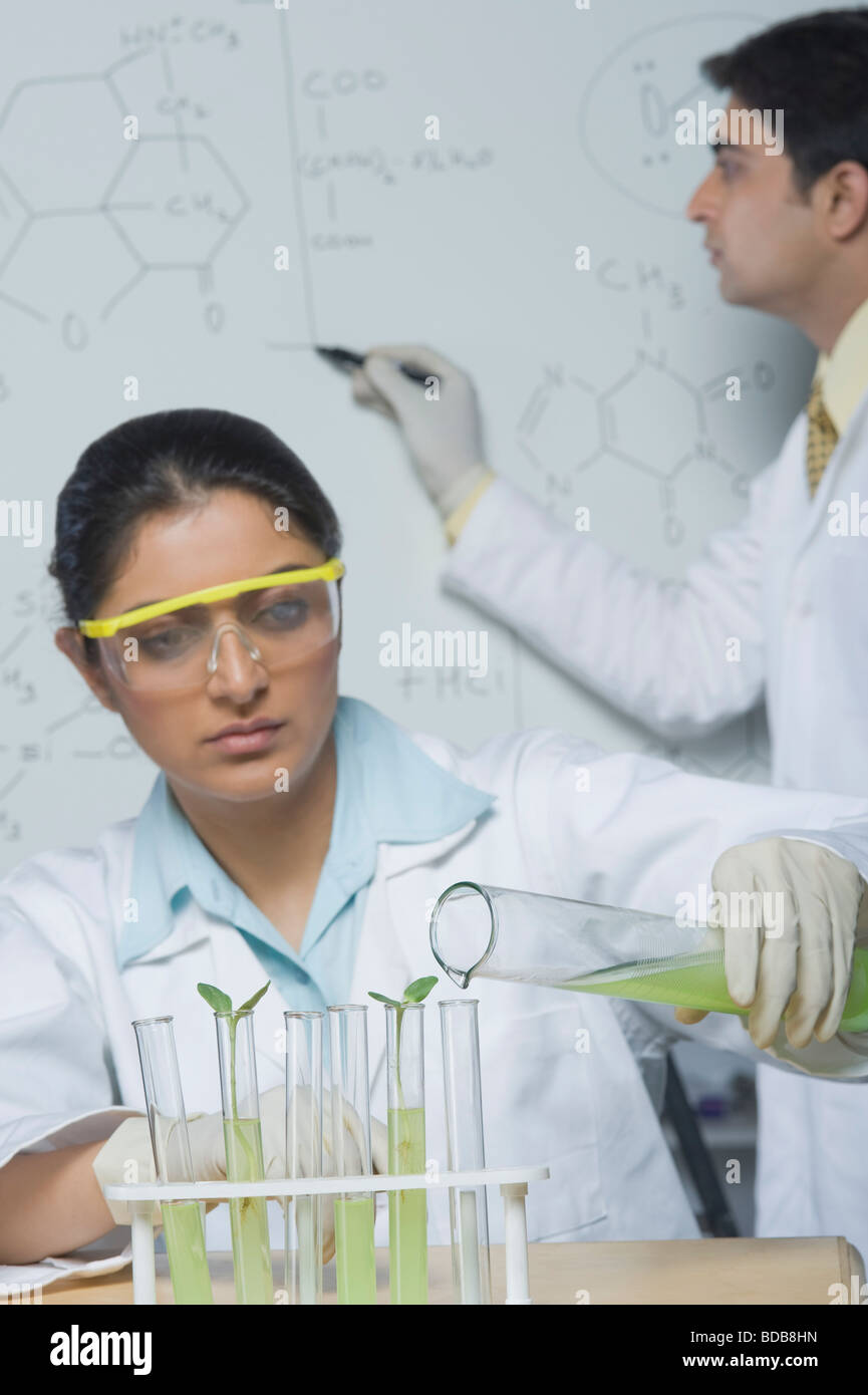 Scientists working in a laboratory Stock Photo - Alamy