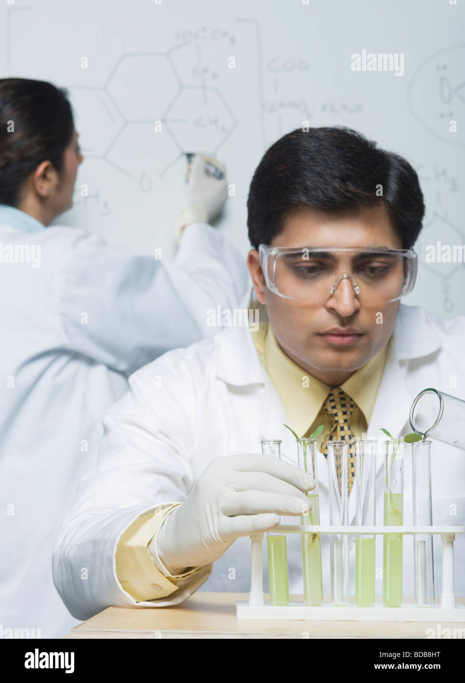 Scientists working in a laboratory Stock Photo - Alamy