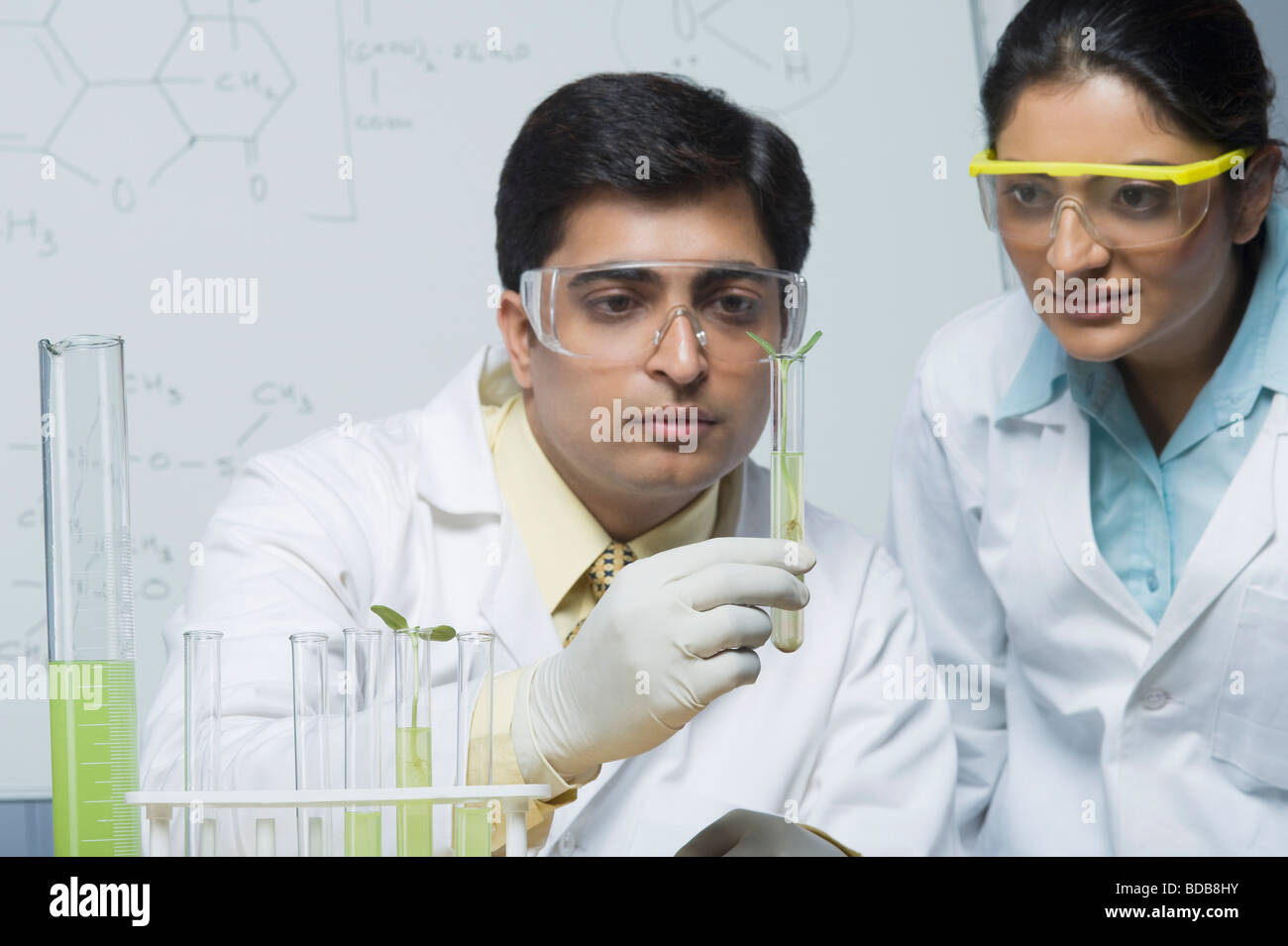 Scientists experimenting in a laboratory Stock Photo - Alamy Scientists experimenting in a laboratory Stock Photo - Alamy