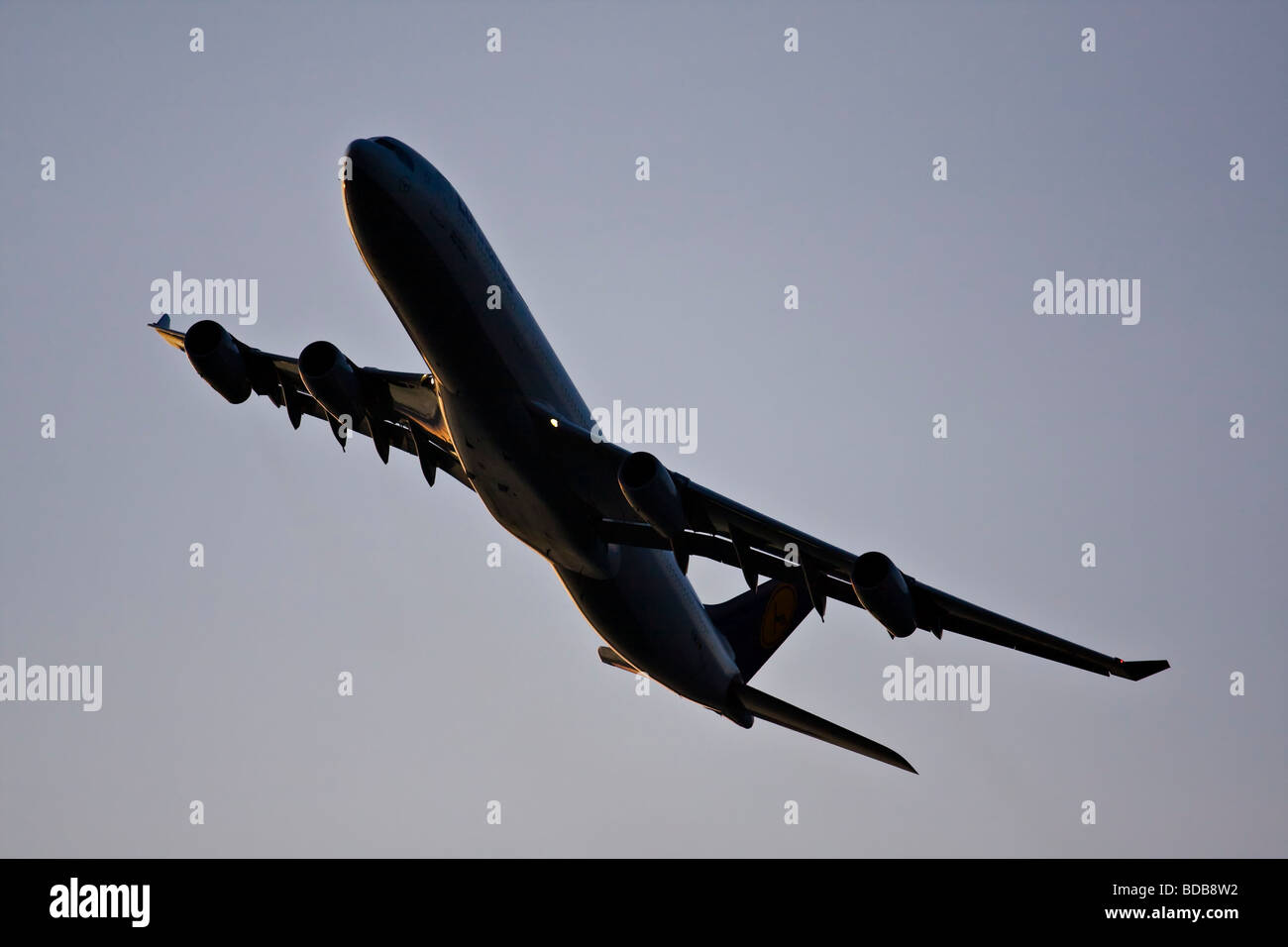 Lufthansa Airbus A340-300 in flight at sunset Stock Photo - Alamy
