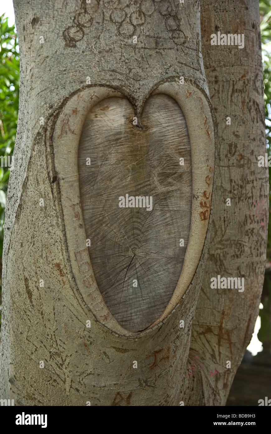Natural heart shape formation hi-res stock photography and images - Alamy