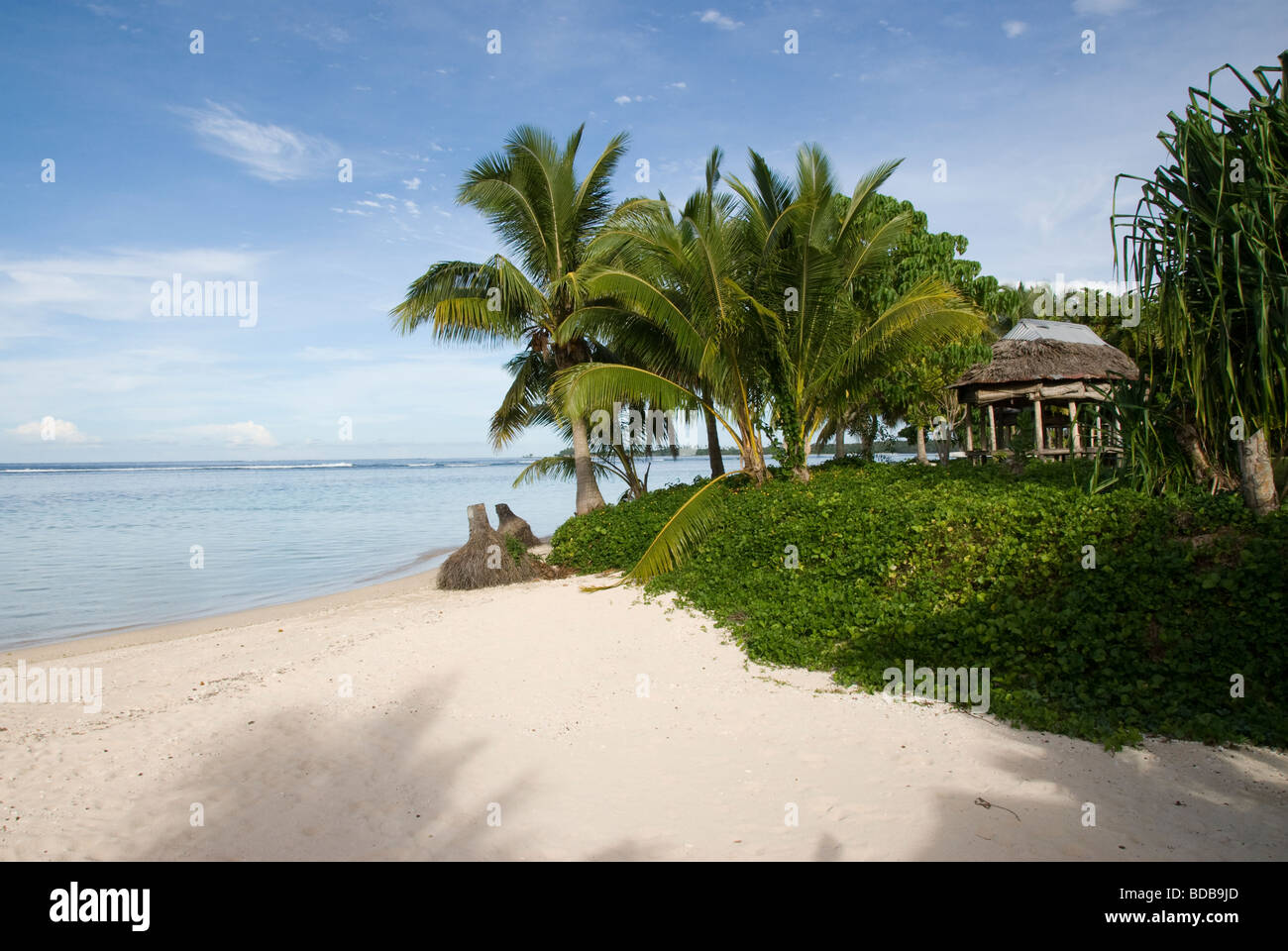 Samoa fale hi-res stock photography and images - Alamy