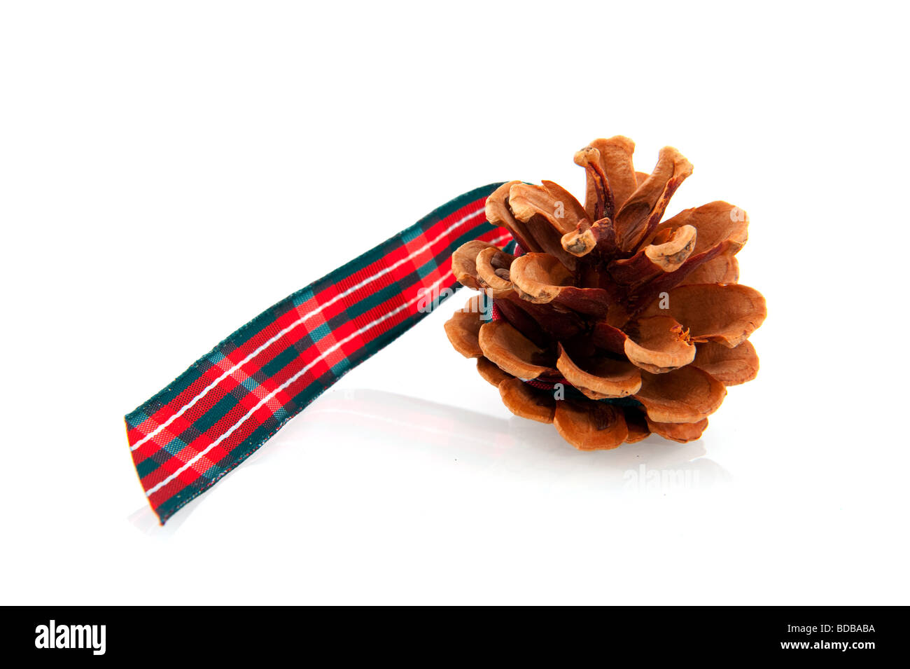 Pine cone with red checkered ribbon for Christmas Stock Photo - Alamy