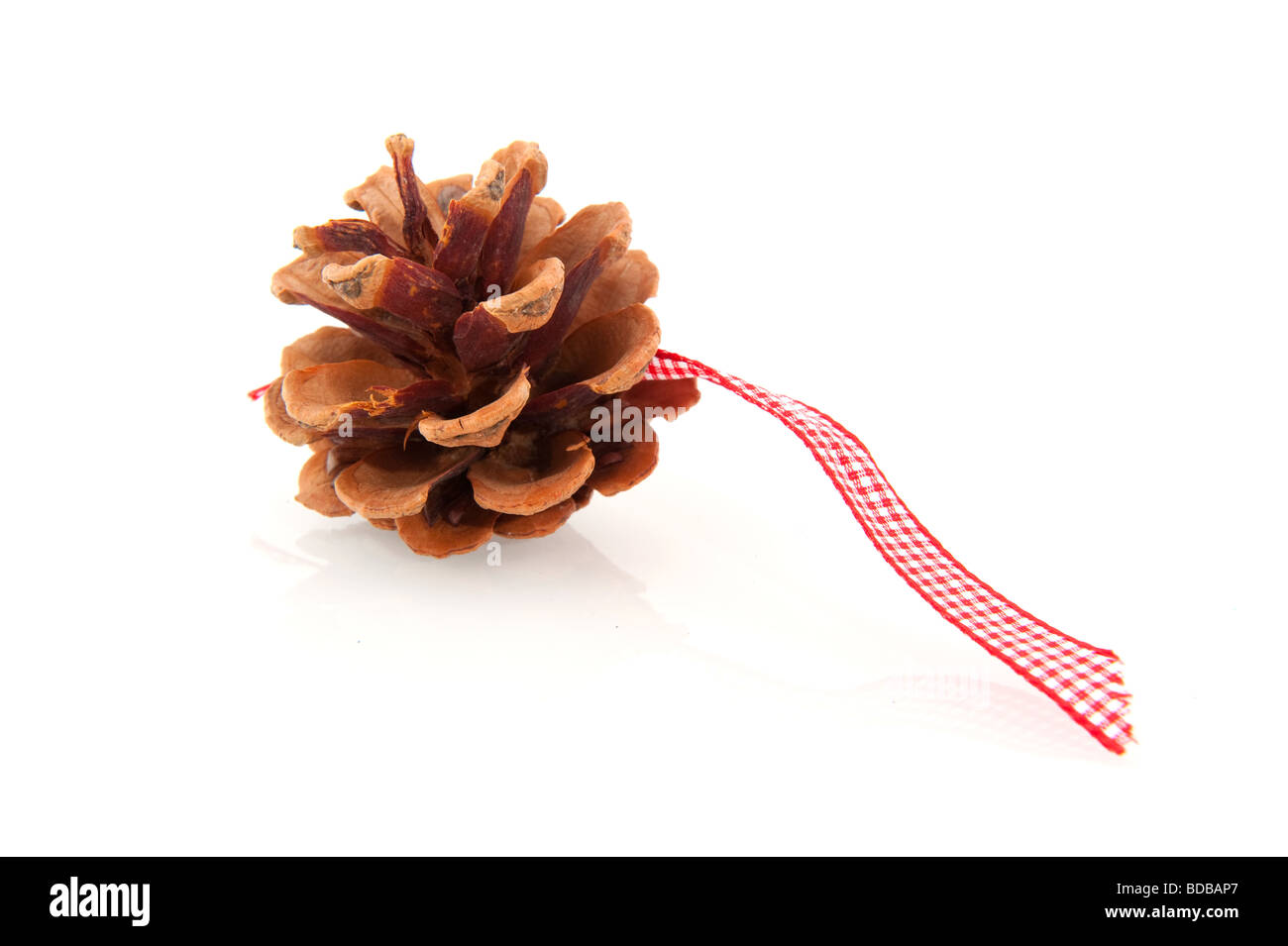 Pine cone with red checkered ribbon for Christmas Stock Photo - Alamy