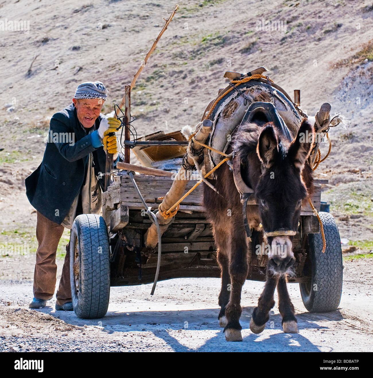 May 2008 Turkish village Old Turkish man working with his donkey Stock ...