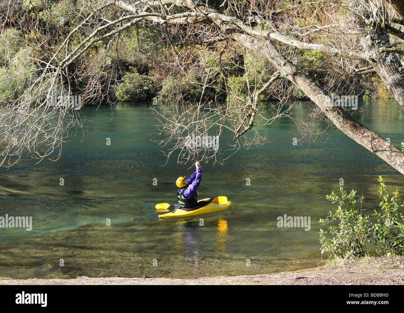 A man drifting lazily in a small raft trying to hold a branch of tree ...