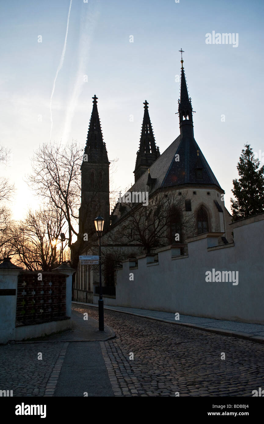 Basilik hi-res stock photography and images - Alamy