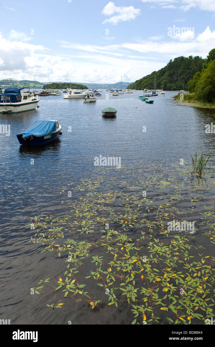 Balmaha hi-res stock photography and images - Alamy