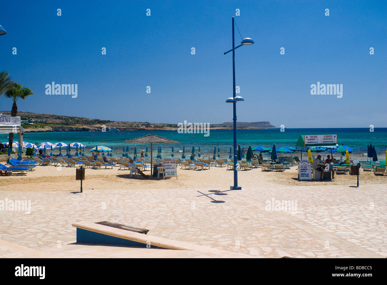Beach cyprus palms hi-res stock photography and images - Alamy