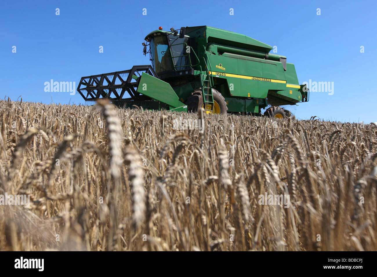 Combine harvester in a field hi-res stock photography and images - Alamy