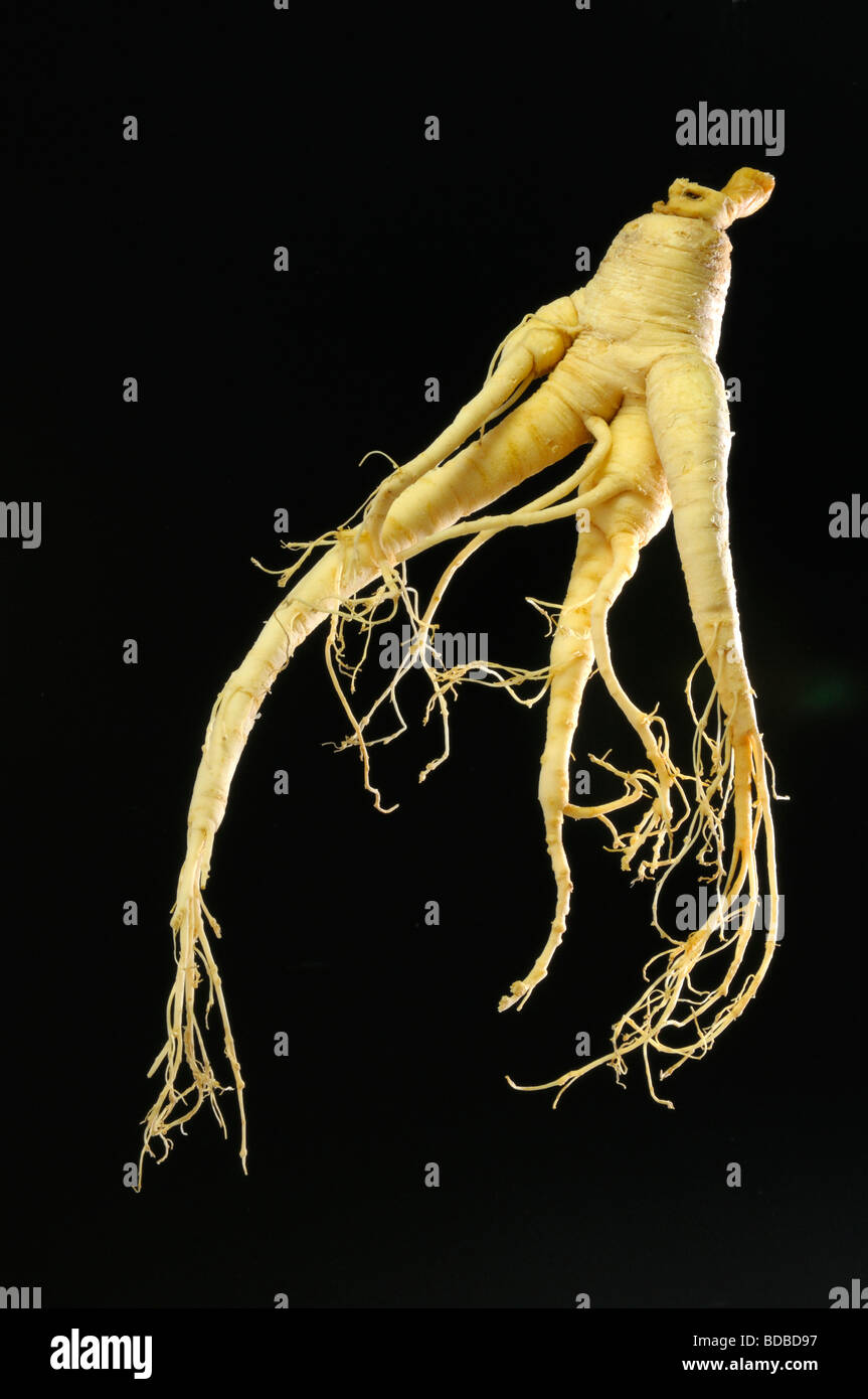 Ginseng hi-res stock photography and images - Alamy