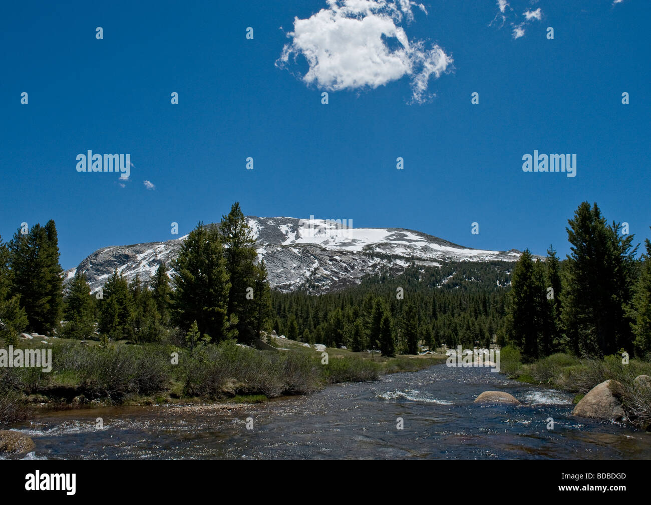 Highest highway pass of California, Tioga Pass, has the most beautiful ...