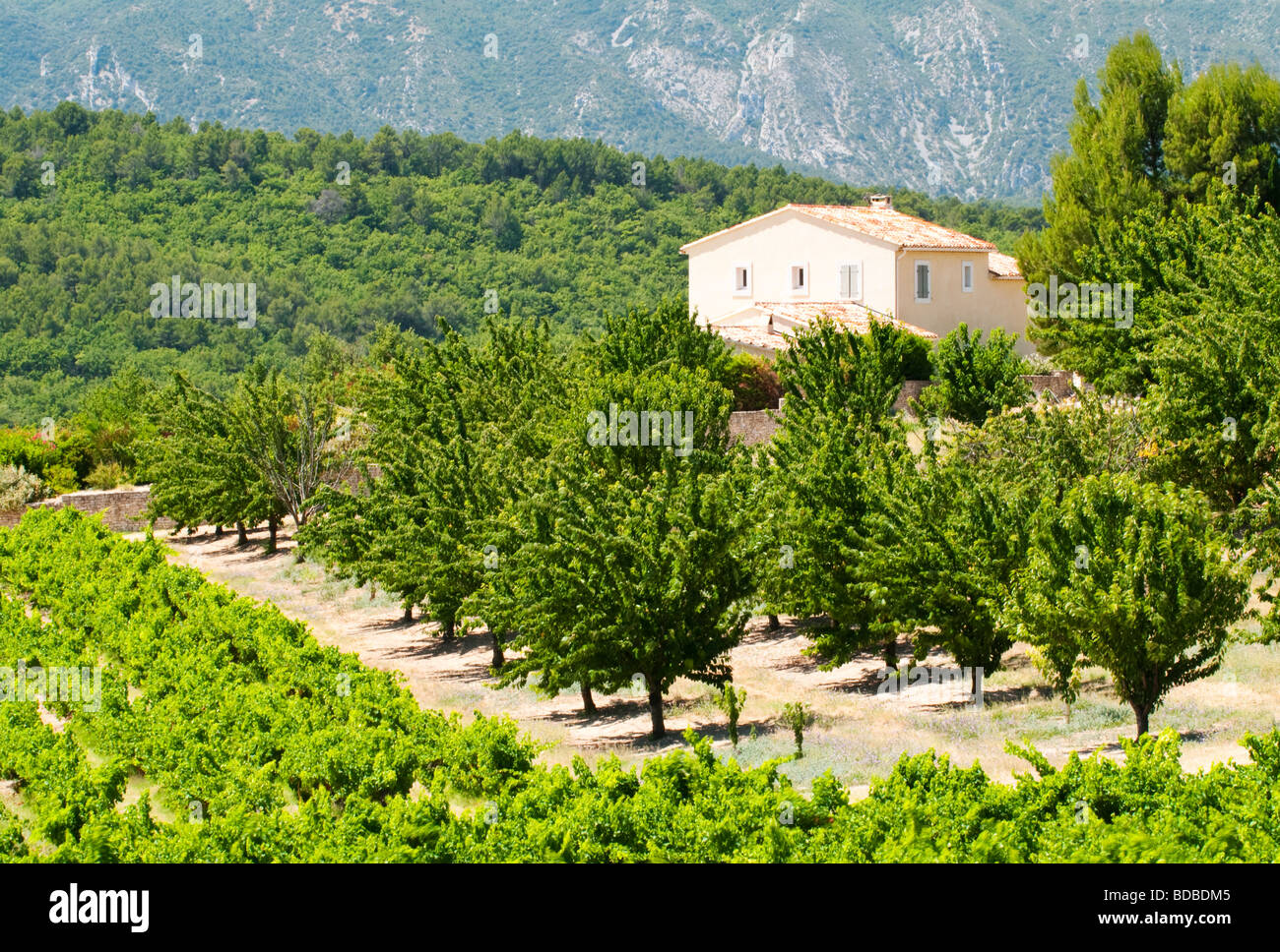Villa on the outskirts of Goult, Provence, France Stock Photo - Alamy