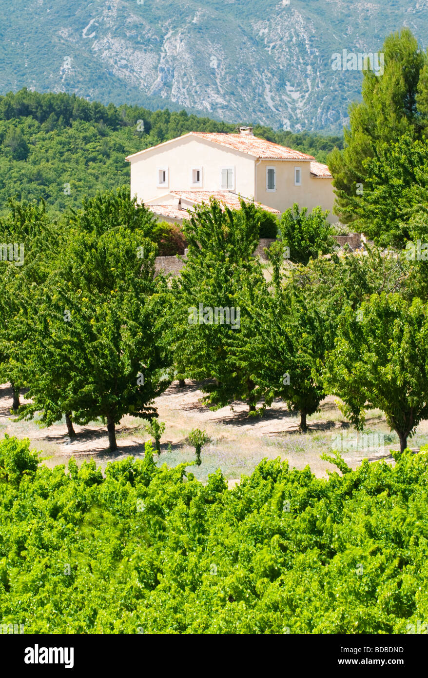 Villa on the outskirts of Goult, Provence, France Stock Photo - Alamy