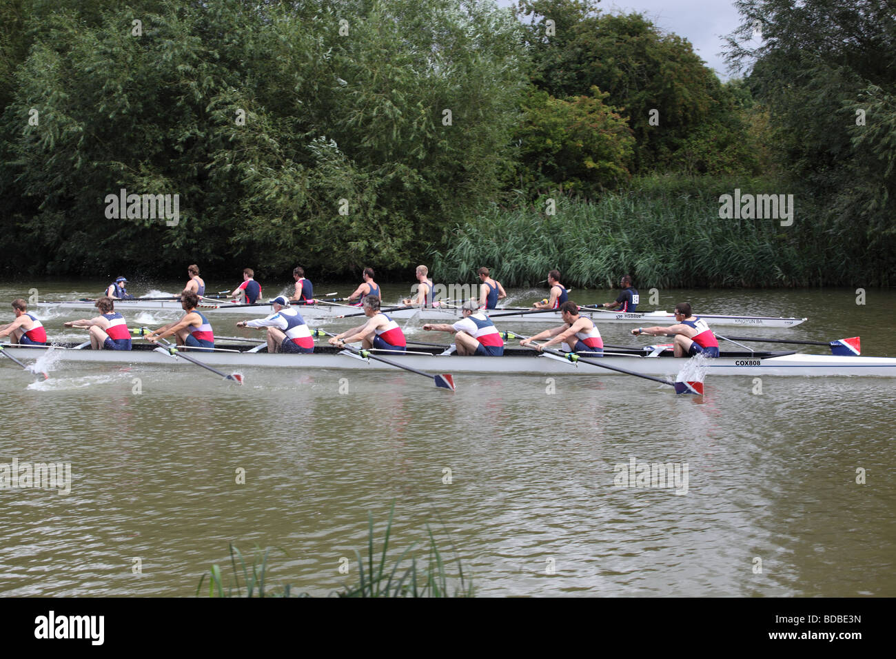 Regatta rowboats hi-res stock photography and images - Alamy