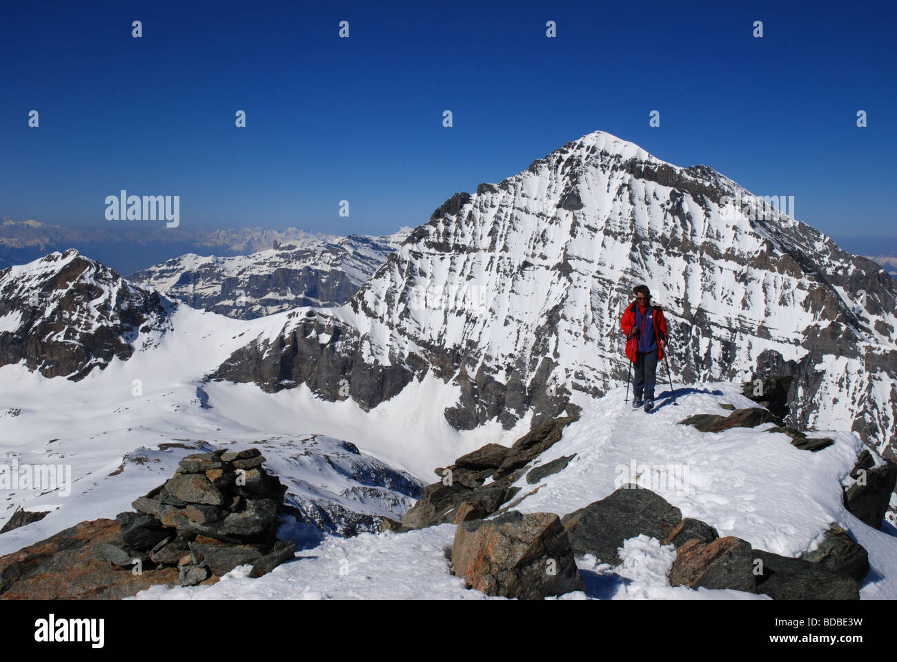Climber reaching summit of Hockenhorn 3293m with Balmhorn 3699m Bernese ...