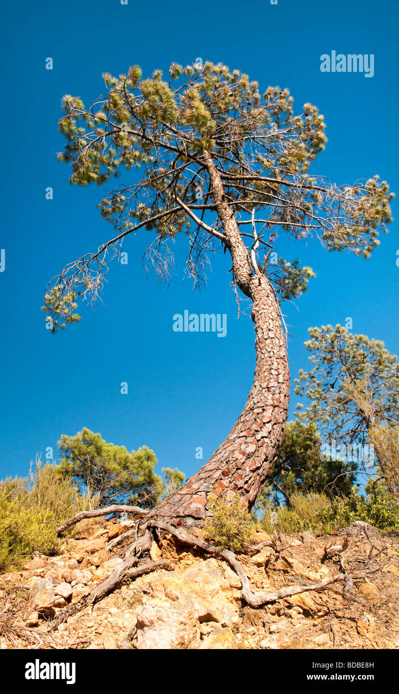 French soil sightseeing hi-res stock photography and images - Alamy