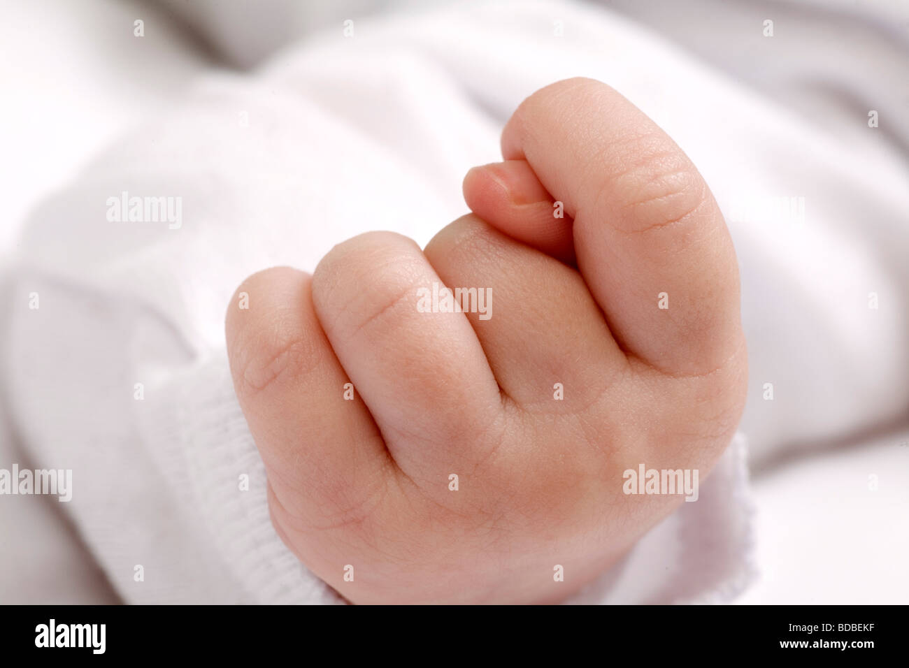 Fig sign hi-res stock photography and images - Alamy
