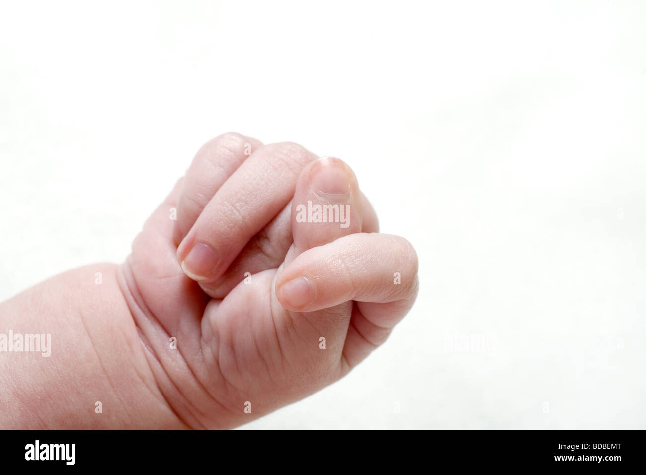 Fig sign hi-res stock photography and images - Alamy