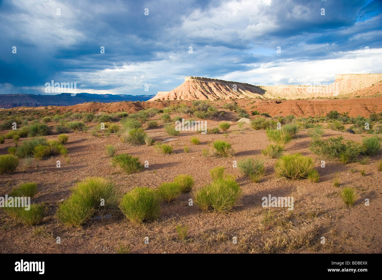 Us desert landscape hi-res stock photography and images - Alamy