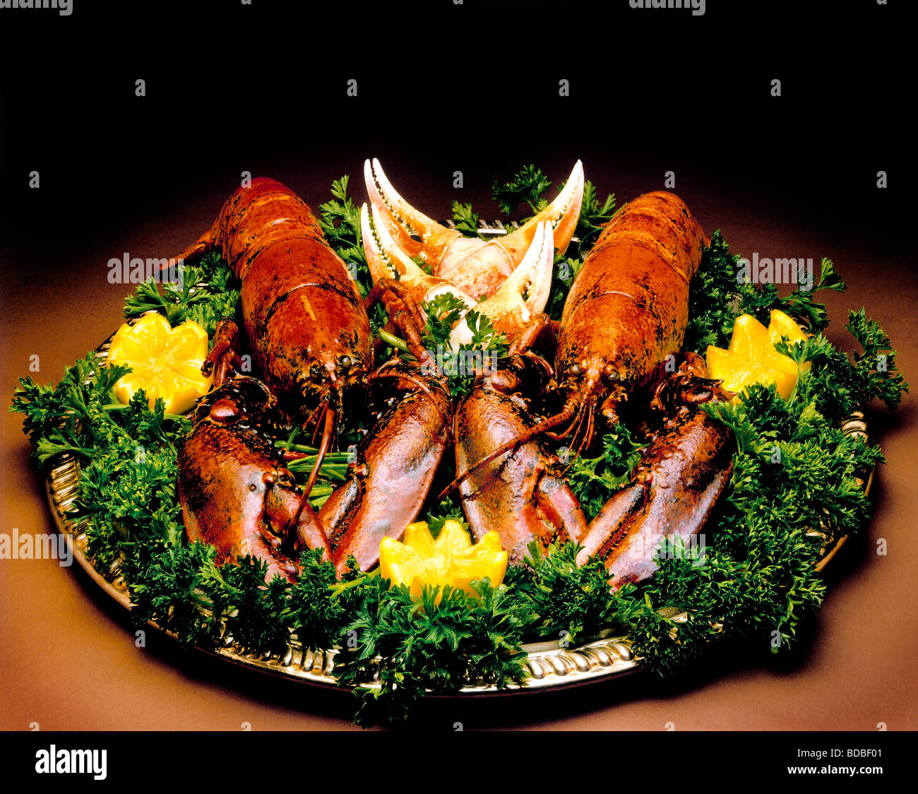 Silver Lobster High Resolution Stock Photography and Images - Alamy