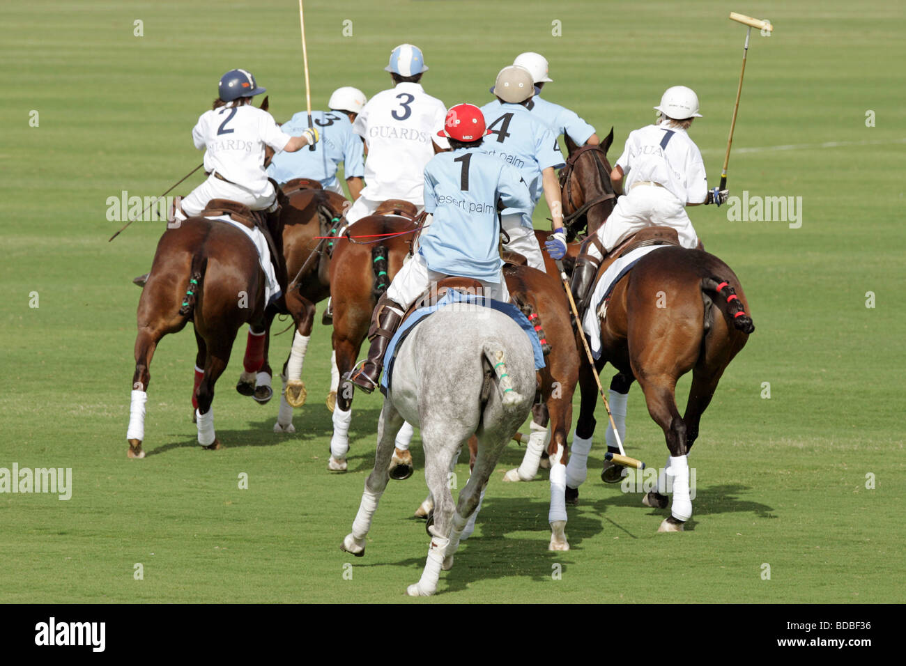 Polo game hi-res stock photography and images - Alamy